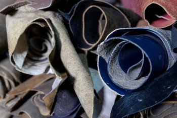 SUSTAINABILITY – COINDU